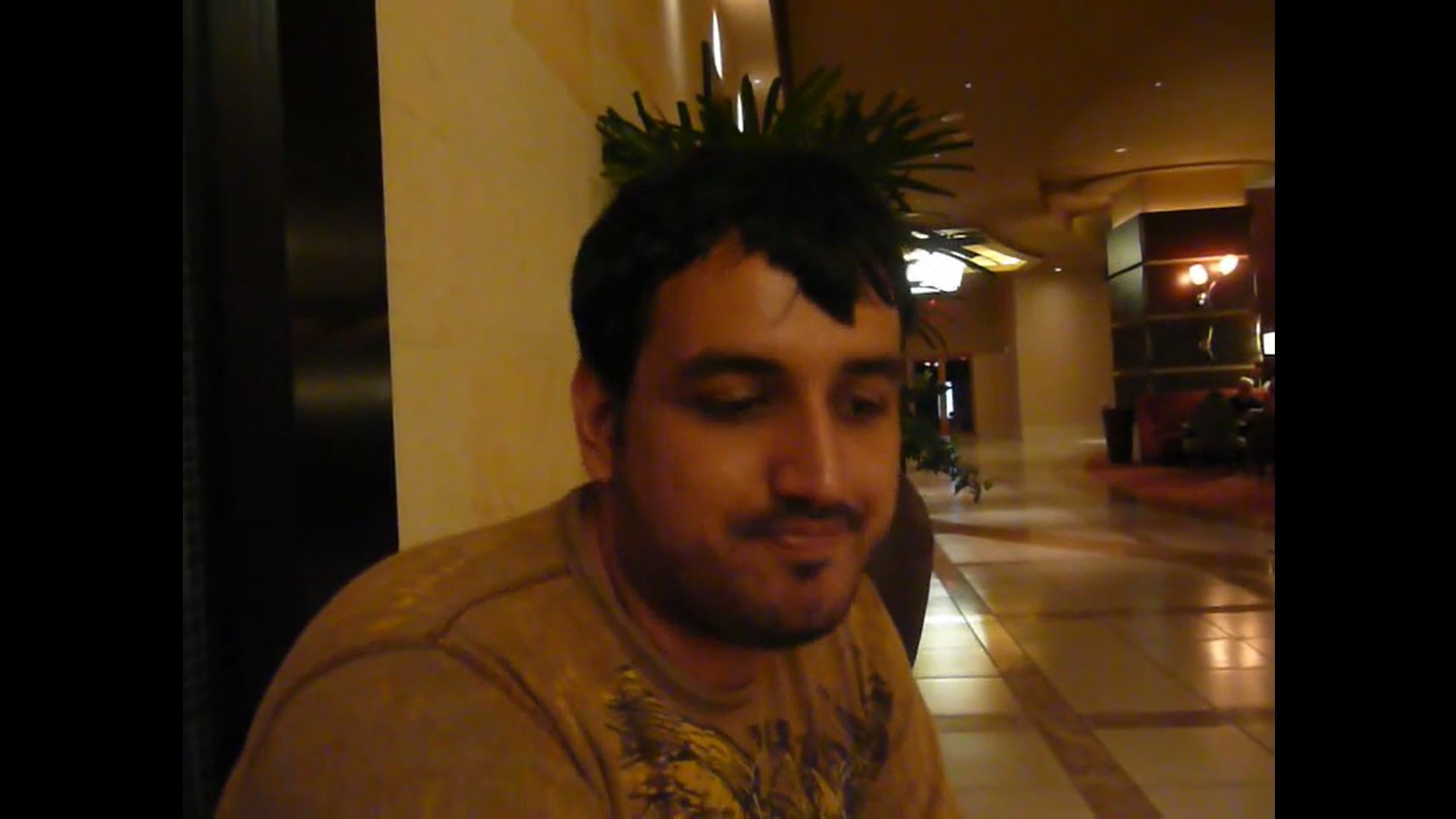 North American Stars :: The Bridge Channel